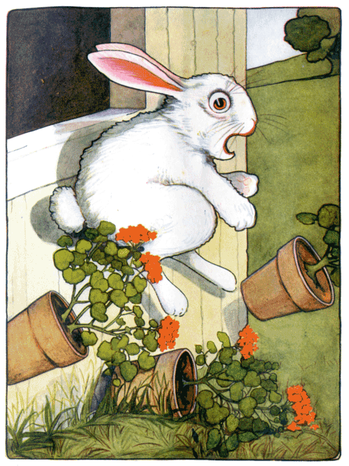 eBook of Peter Rabbit by Beatrix Potter